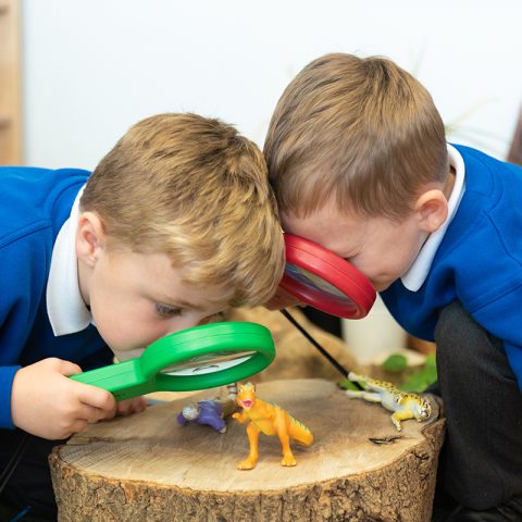 School Photography | Colorfoto School Photography & Creative Services